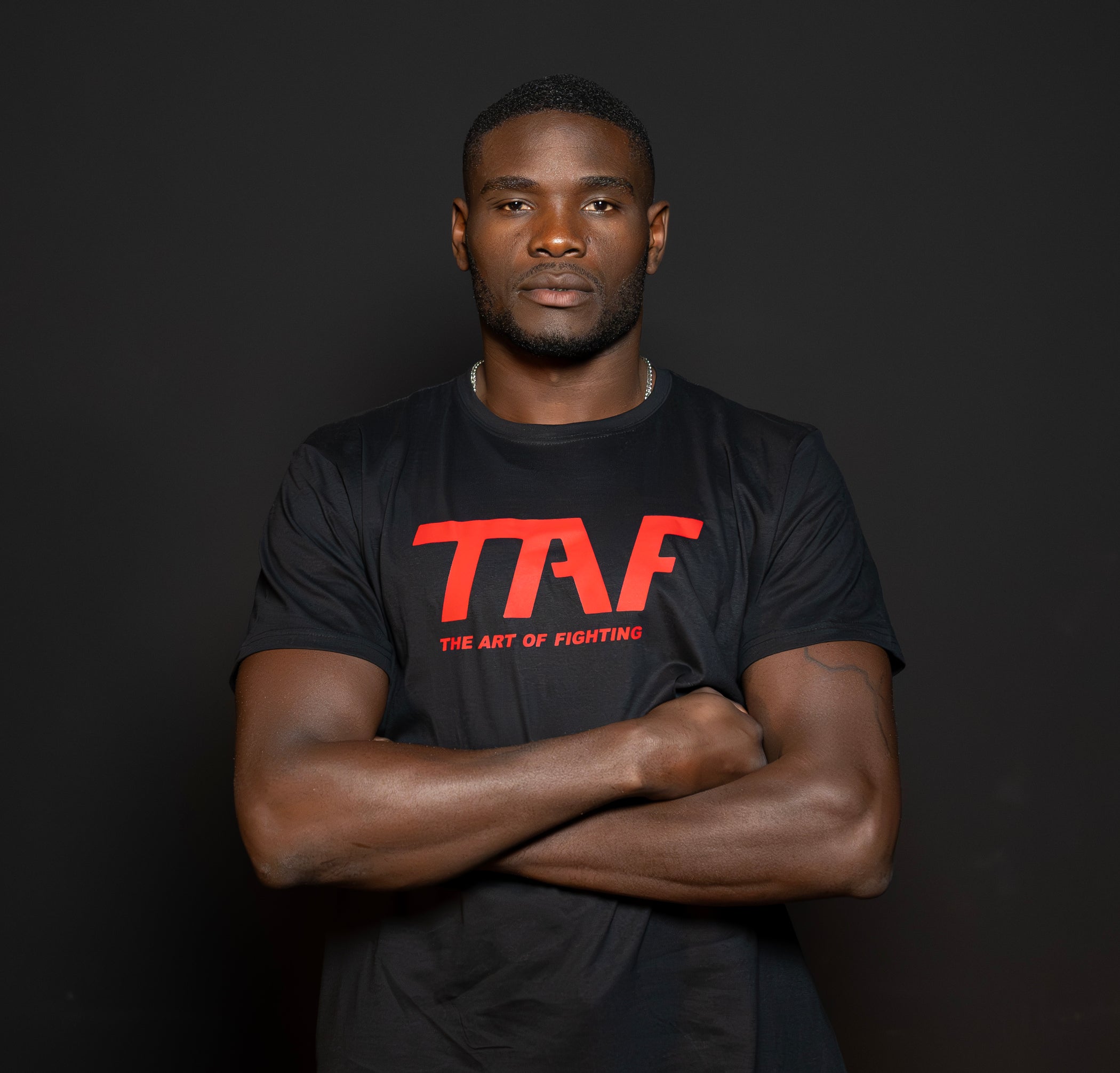 TAF - The Art of Fighting